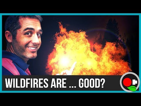 Why Wildfires Are Often Good!