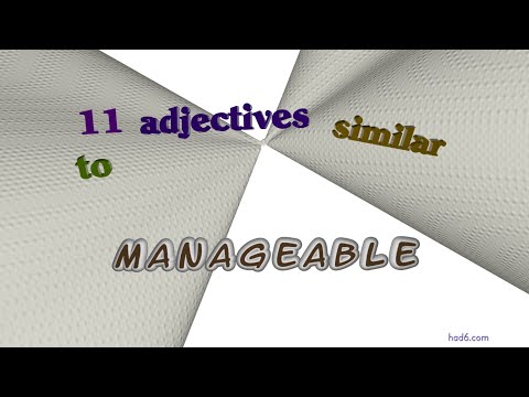 manageable - 13 adjectives having the meaning of manageable (sentence examples)