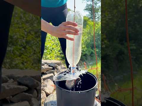 How to get Water from the River ? #survival #camping #bushcraft #outdoors #lifehacks