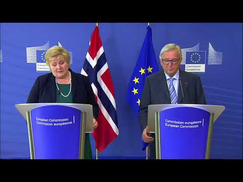 #Brexit: 'The EEA is a solution if you accept the four freedoms' Solberg
