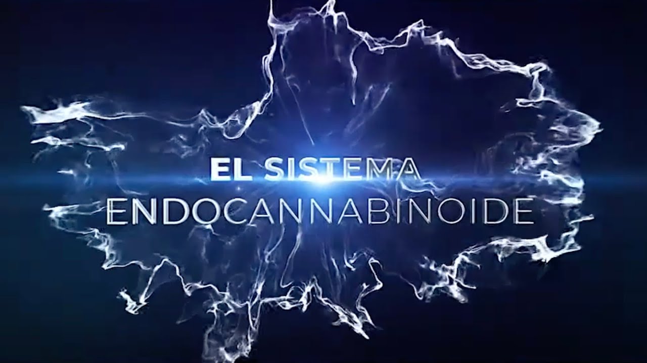 Aprende del sistema endocannabinoide en Canna Life