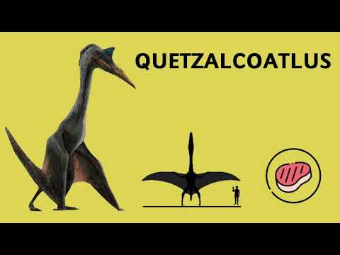 How to say Quetzalcoatlus?