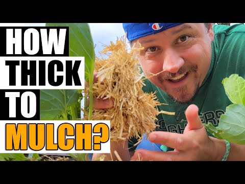 Mulch Thickness Explained - Garden Quickie Episode 101