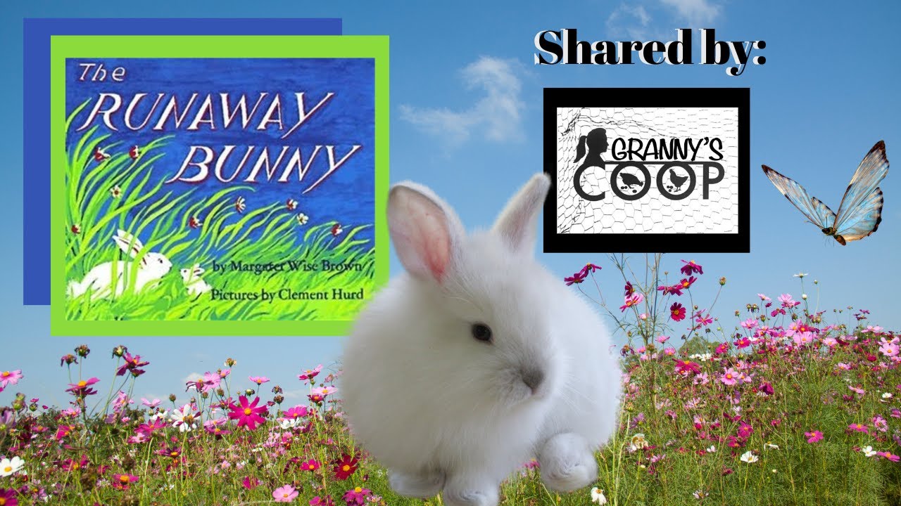 The Runaway Bunny by Margaret Wise Brown #readaloud #kidbooksreadaloud