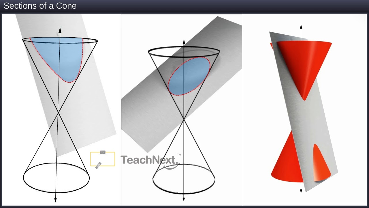 CBSE 11 Maths Conic Sections of a Cone