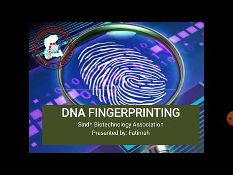 DNA Fingerprinting