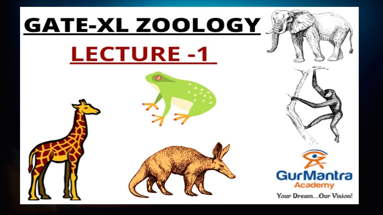 Understanding Systematics and Taxonomy in Zoology | Galaxy.ai