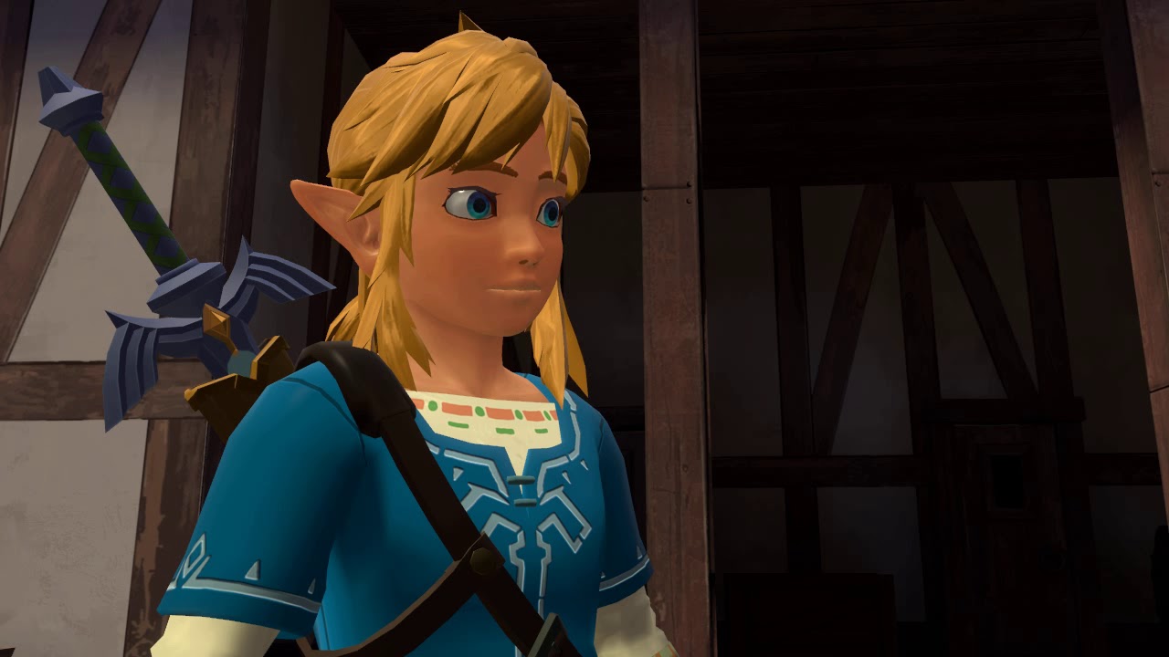 [SFM] Link Facial Test