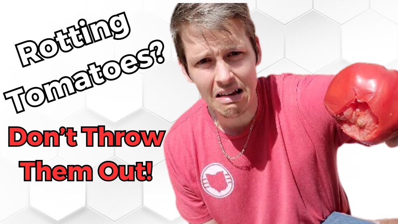 Before You Toss Them - 3 Ways to Use Rotten Tomatoes