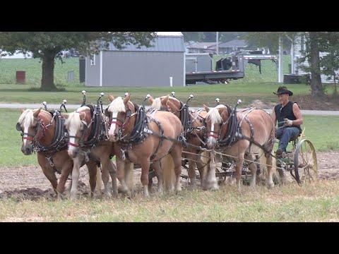 American Threshers Association Steam, Gas and Threshing Show - 60th Annual