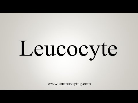 How To Say Leucocyte