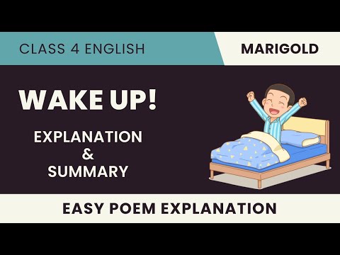 Wake Up Video Lecture - Class 4