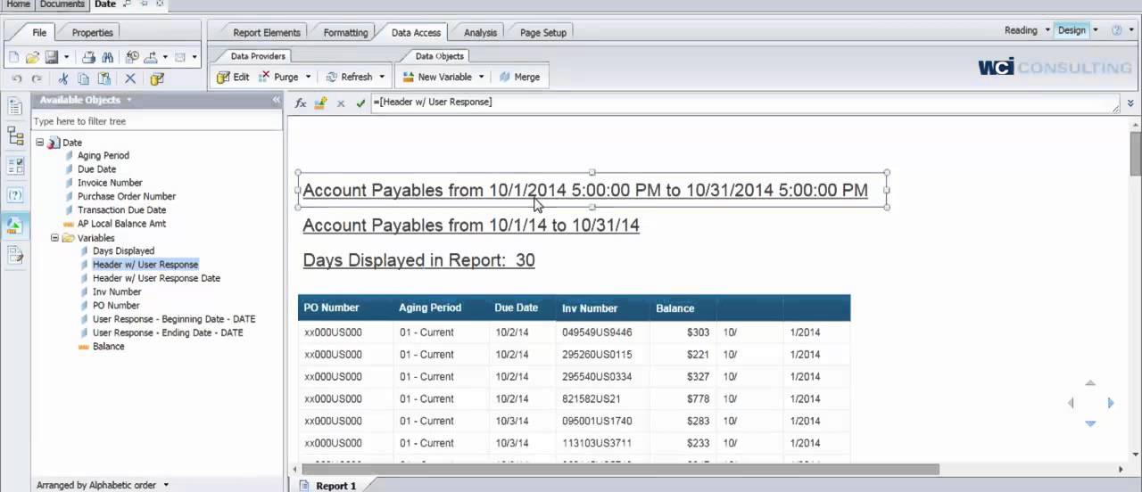 Webi User Response Function Tutorial for SAP BusinessObjects Web Intelligence