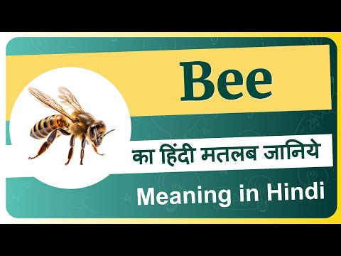 Bee meaning in Hindi | Bee ka matlab kya hota hai | Bee means and hindi word
