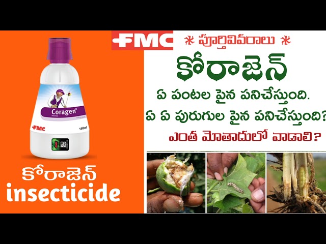 Insecticides - Imidore Imidacloprid 17.8% SL Insecticide Manufacturer ...