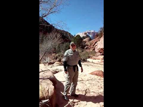 Geology lesson. Sandstone