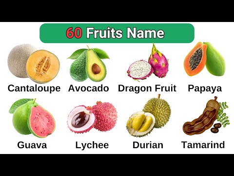 60 Fruit Names in English with Pictures – Easy Vocabulary for Beginners