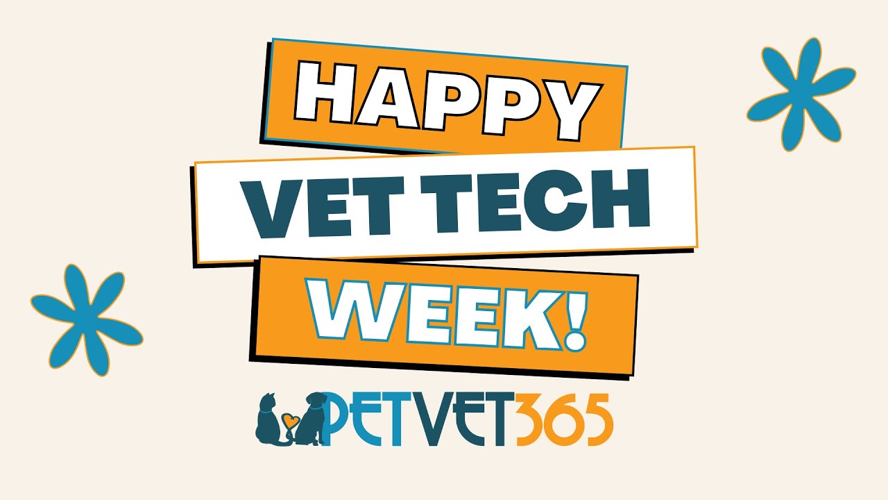 PetVet365 VetTech Week