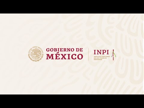 Juventudes Indígenas y Afromexicanas en espacios y foros ...