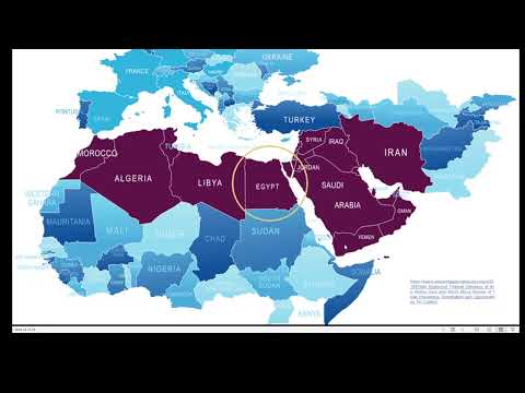 Naomi Klein: Climate Colonialist