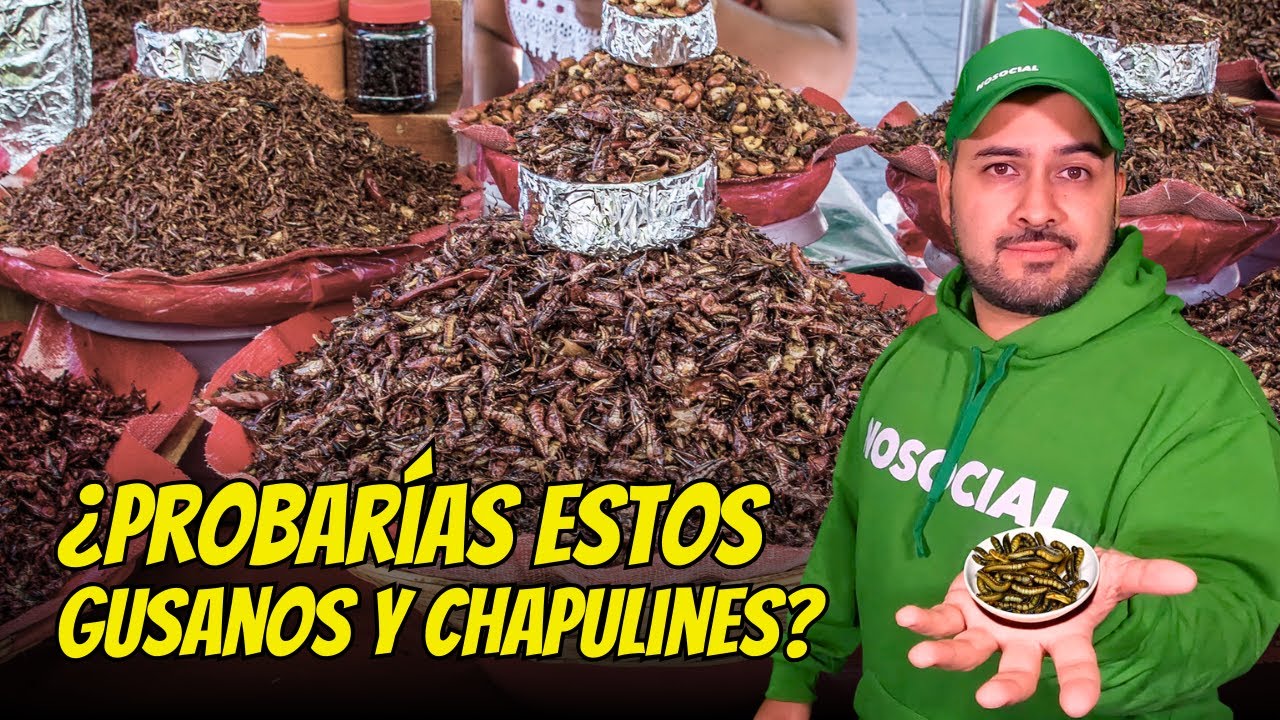 Mercados de OAXACA | Episodio 2 | Vamos a conocer con Adrián Guerrero