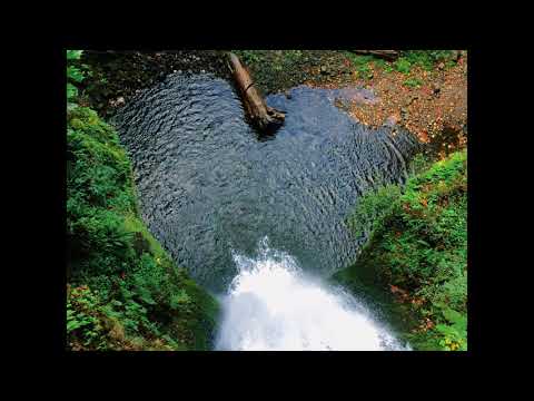 Listen – Nathan Bird