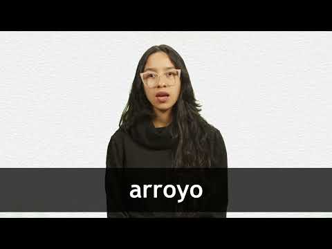 English Translation of “ARROYO” | Collins Spanish-English Dictionary