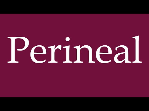 How to Pronounce ''Perineal'' Correctly in German