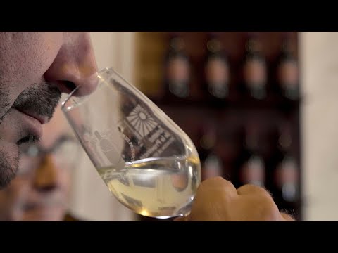 Gourmet Getaways - Bodegas Salado - Umbrete (Sevilla)