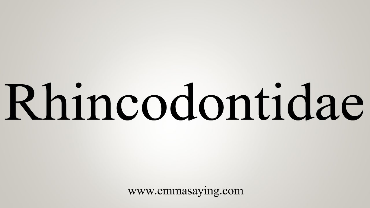 How To Say Rhincodontidae