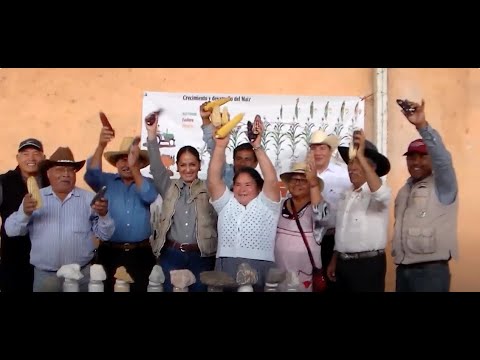 El rastrojo como un elemento importante para la tierra | Secretaría de ...