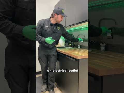 Ultrasonic Rodent Plugs-Do They Work?