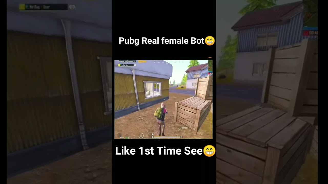 Pubg Real Female Bot 😁 Pubg Bot😎 #bgmibot  #pubgshorts