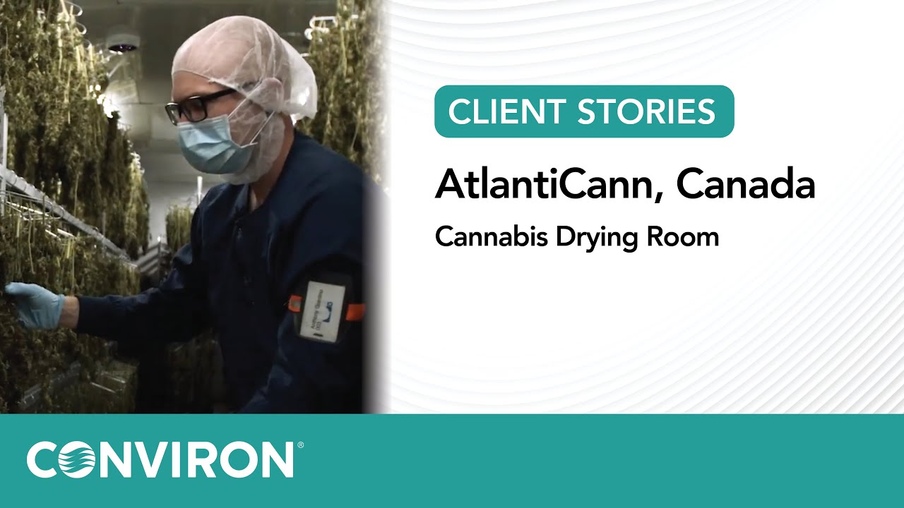 AtlantiCann Drying Room Short Interview