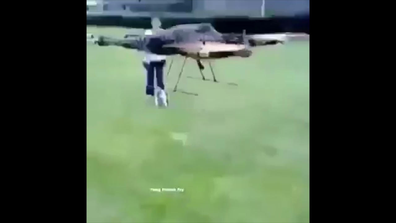 Taxidermy Cat Drone Vine