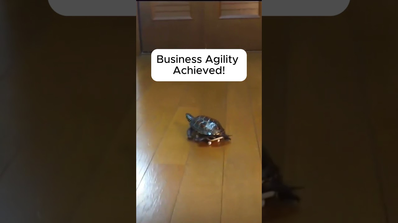 AgilePool Business Agility