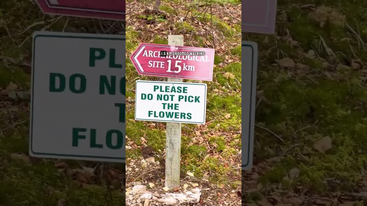 Boyd's Cove Beothuk Interpretation Centre Newfoundland
