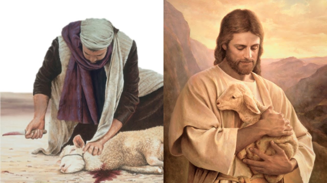 Prophetic Anti-sacrifice Messages in the Bible | Radical Health Podcast ep. 39