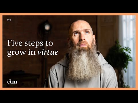 5 Practical Steps to Grow in Virtue (How to Bear “Fruit”) | LITTLE BY LITTLE | Fr Columba Jordan CFR