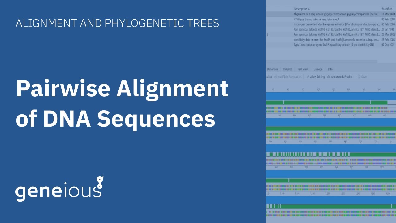 Compare Two DNA Sequences Side by Side: Pairwise Alignment in Geneious Prime