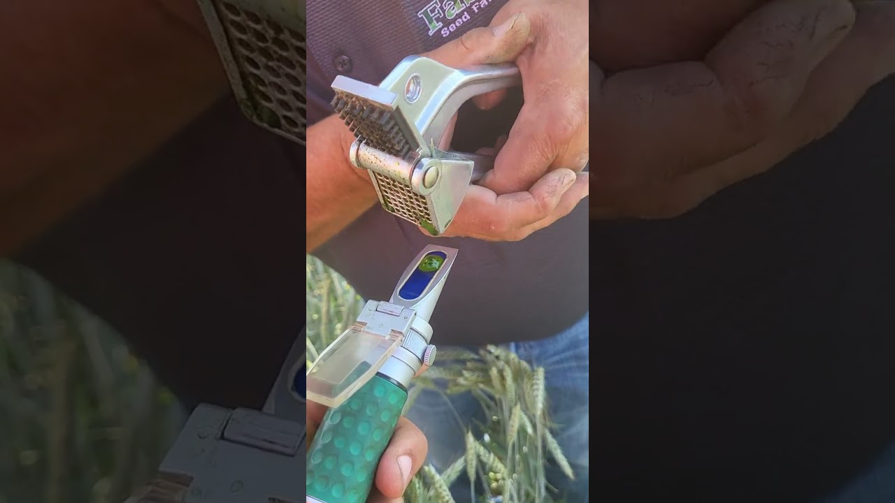 Taking A Brix Reading With A Refractometer