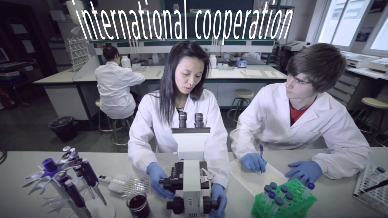 BIOCAPS CORPORATIVE