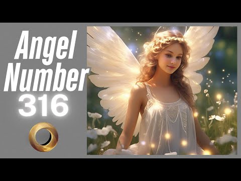 Angel number - 316