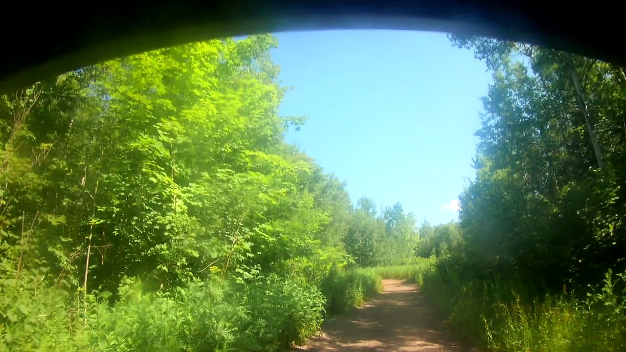 Moose Walk Red Dot ATV July 2017 Video 1