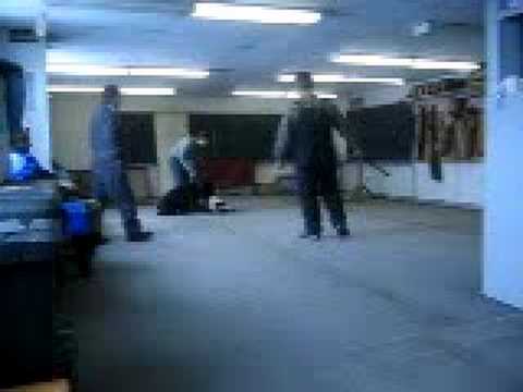 Bullet Giant Schnauzer Schutzhund Training