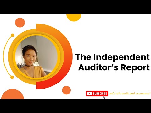 01. The Independent Auditor's Report