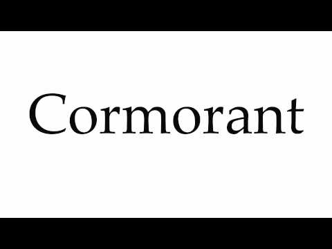 How to Pronounce Cormorant