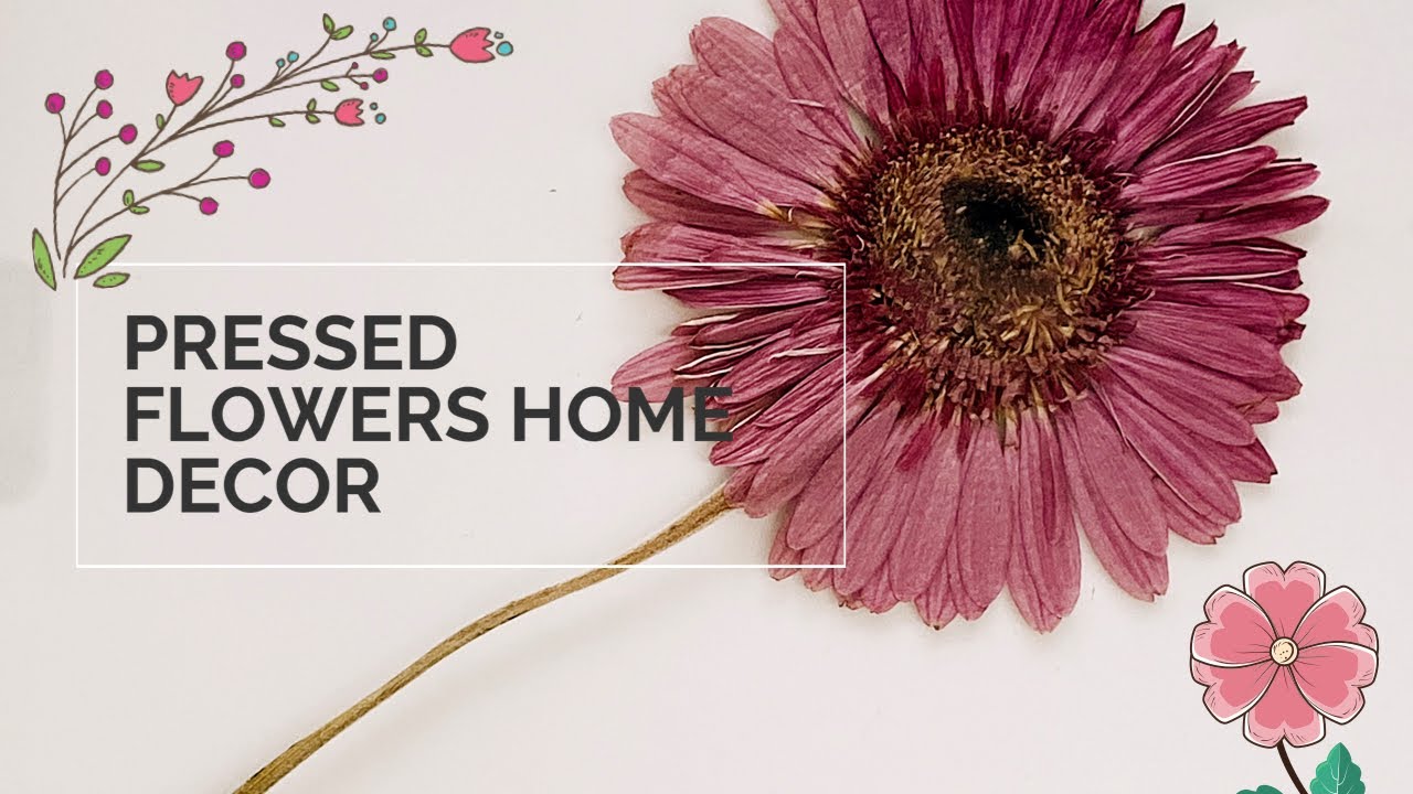 Pressed Flowers Home Decor | Lifestyle | Melanie Kate