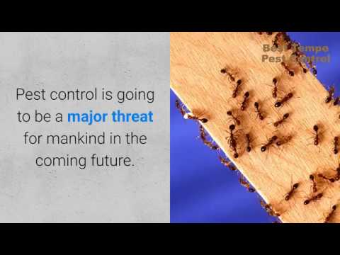 Using Sound Pest Management Practices To Avoid Invaders With Their ...
