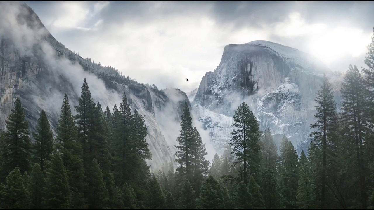 Echo Client Server using Multi-Processing - Python for Penetration Testers